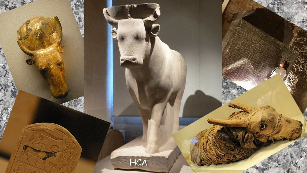 APIS, Divinité Égyptienne