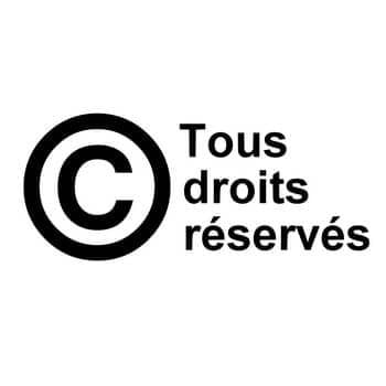 Les Vases Canopes : Un Rituel Funéraire de l'Égypte Ancienne