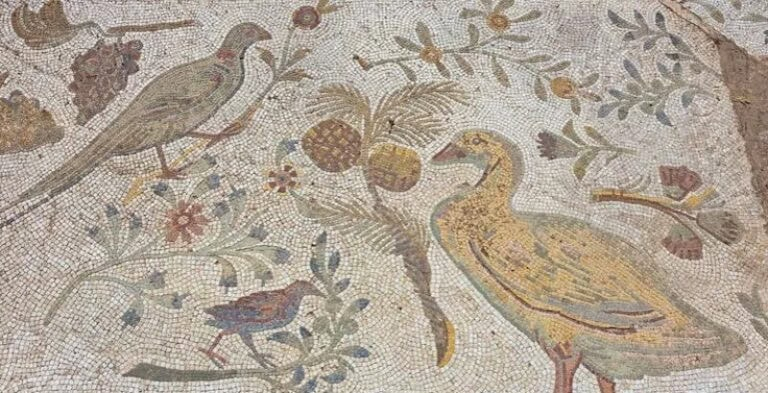 Le Site Archéologique de Carthage, Exploration des Vestiges